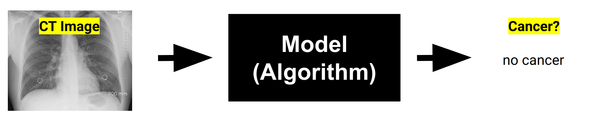 MLiP: Model Correctness and Accuracy
