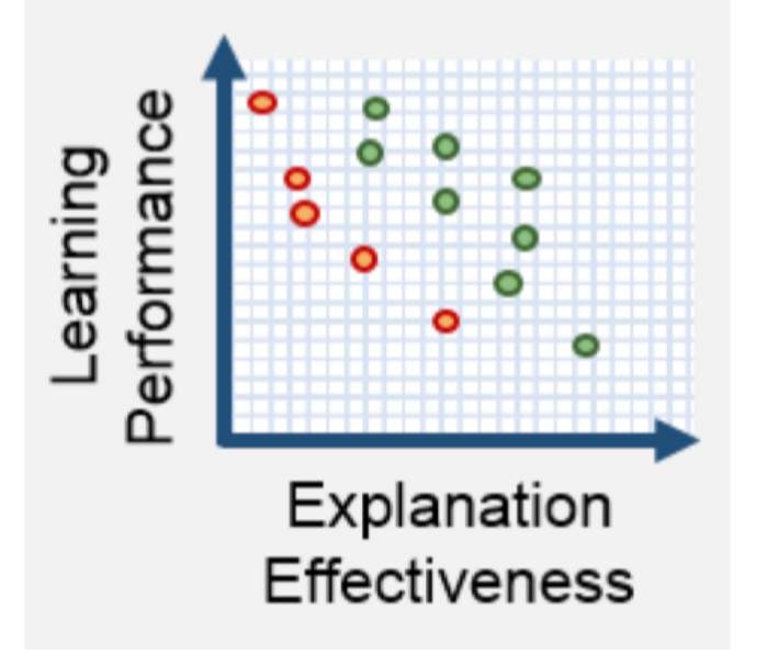 MLiP: Explainability and Interpretability