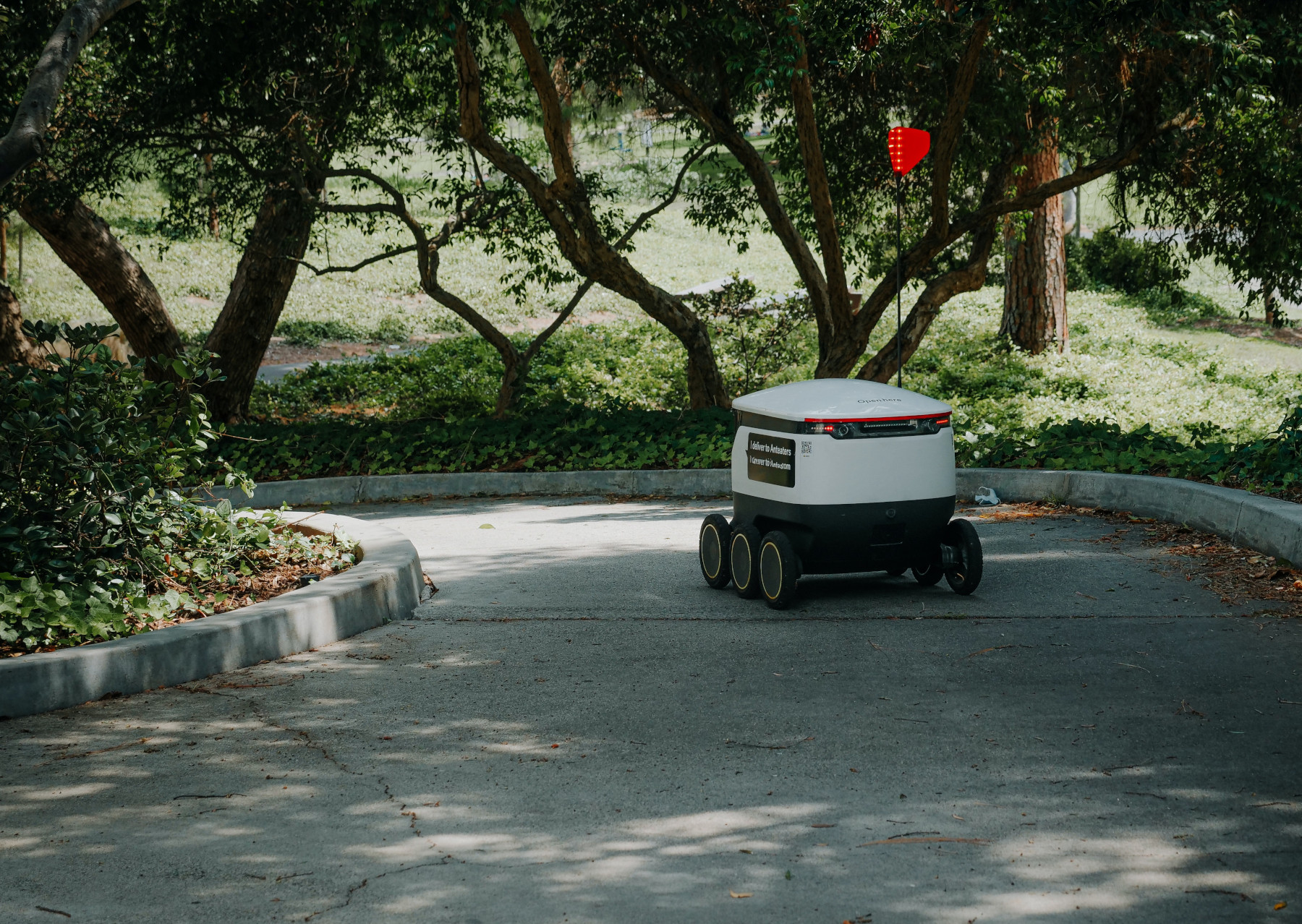 MLiP: From Models to Systems